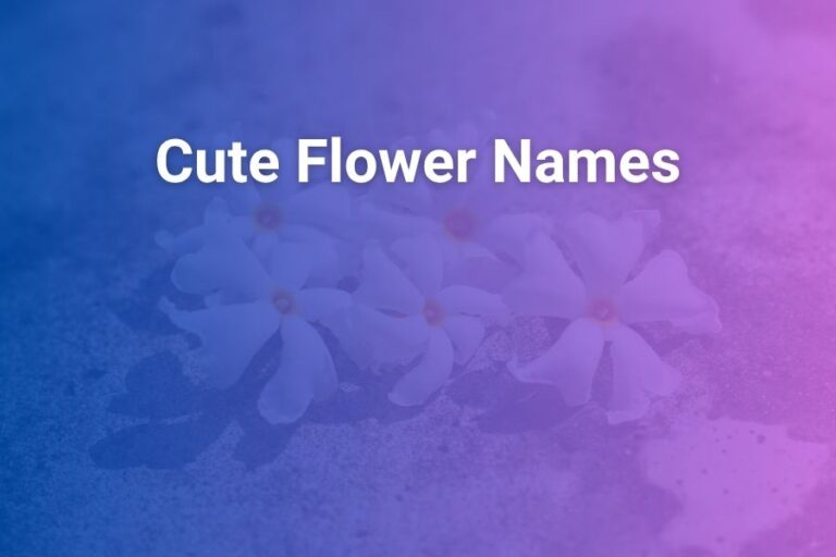 Cute Flower Names That Bloom With Charm and Meaning - Cute Names For